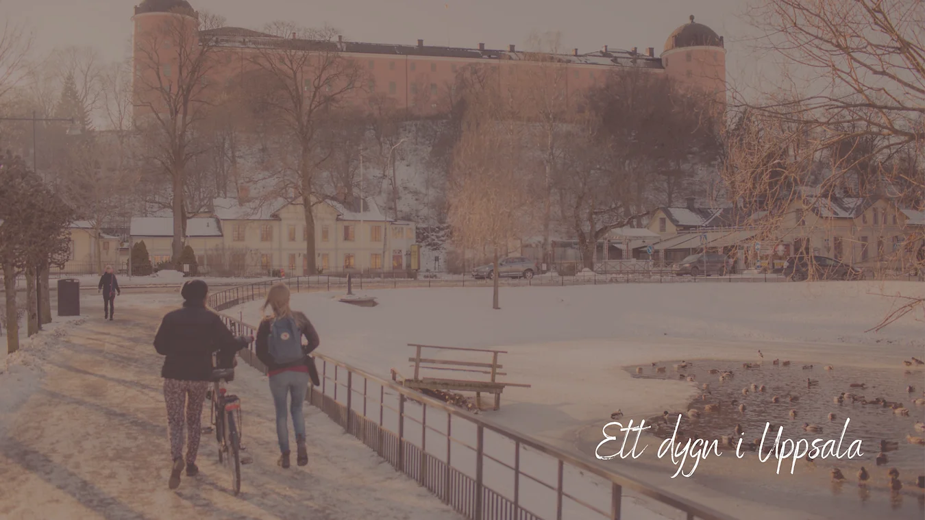 Ett dygn i Uppsala I Aktiviteter i Uppsala