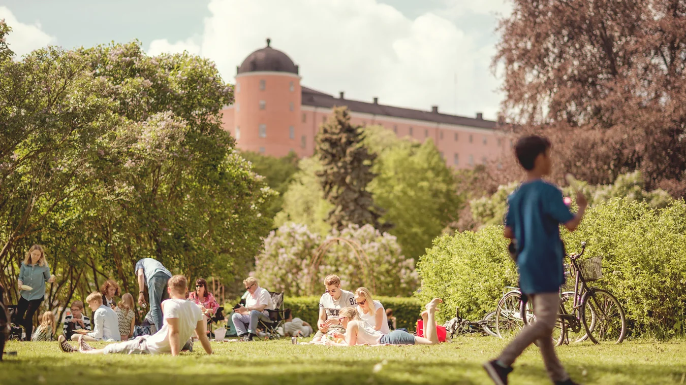 Uppsala Slott I Sevärdheter i Uppsala
